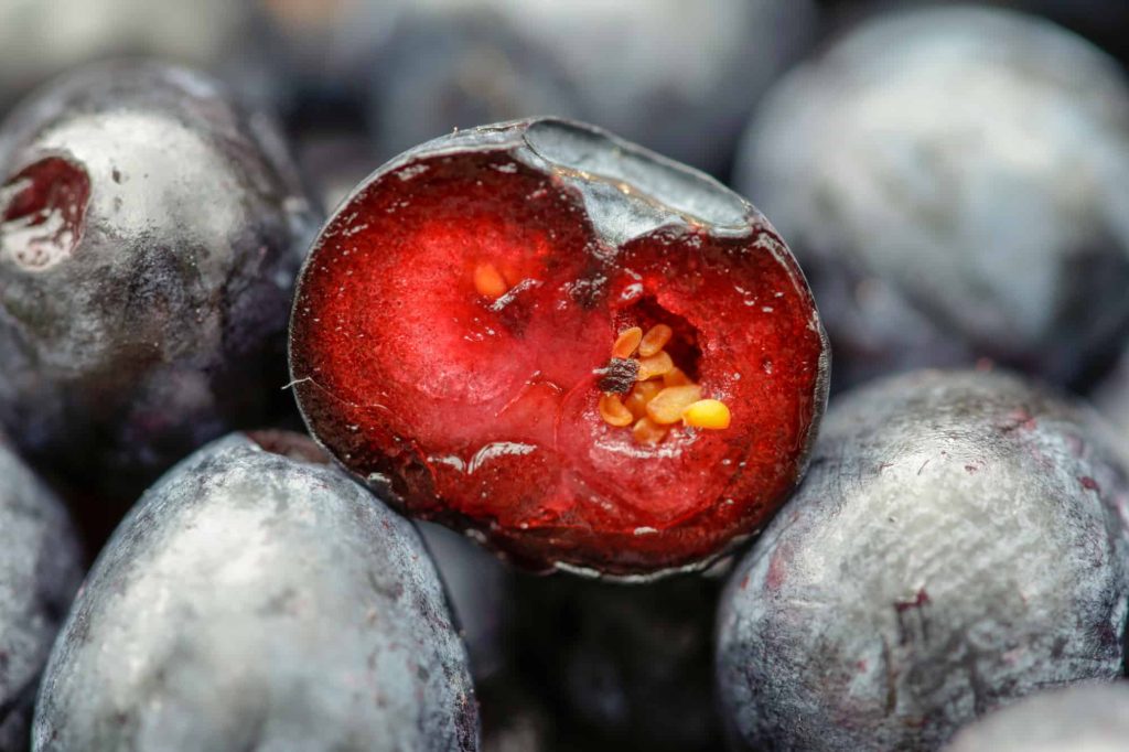 What Does the Inside of a Blueberry Look Like? [With Pics] - Cuisine Seeker