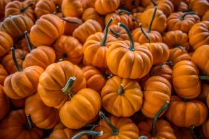 How Much Does an Average Pumpkin Weigh? - Cuisine Seeker
