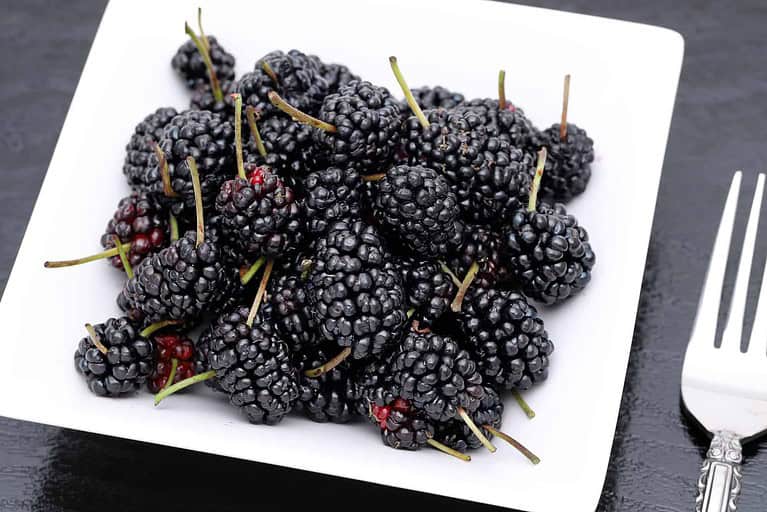 Types of Spiny Fruits: List of Spiny Fruit Names Worldwide - Cuisine Seeker