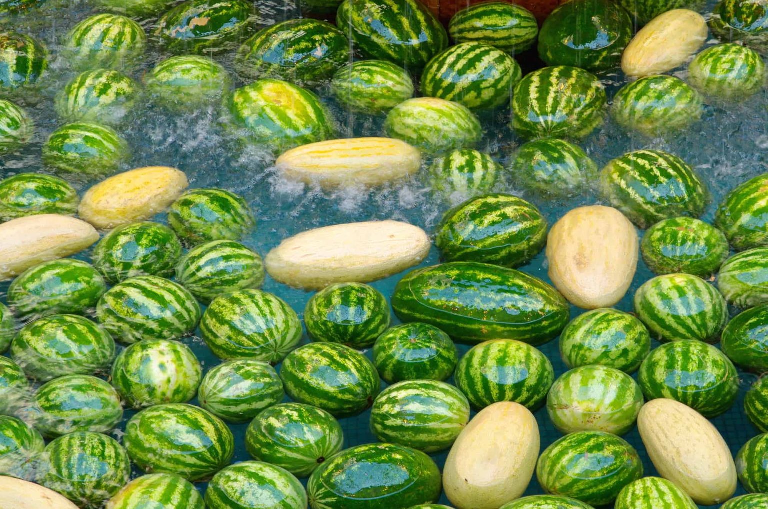 Do Watermelons Float? If So, Why? - Cuisine Seeker